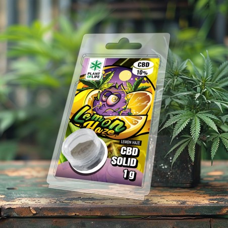 SOLIDO 10% CBD LEMON HAZE 1G | SOLIDI CBD E CBG | PLANTOFLIFE