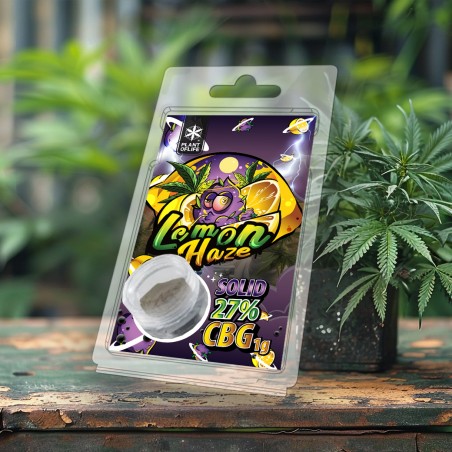SOLID CBG 27% LEMON HAZE 1G | SOLID CBD AND CBG | PLANTOFLIFE